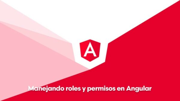 Manejando roles y permisos en Angular - Asfo Development
